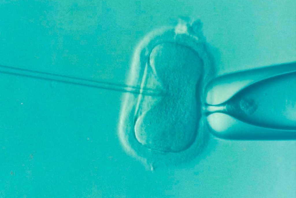 Quatromanos. Profesionales en comunicación